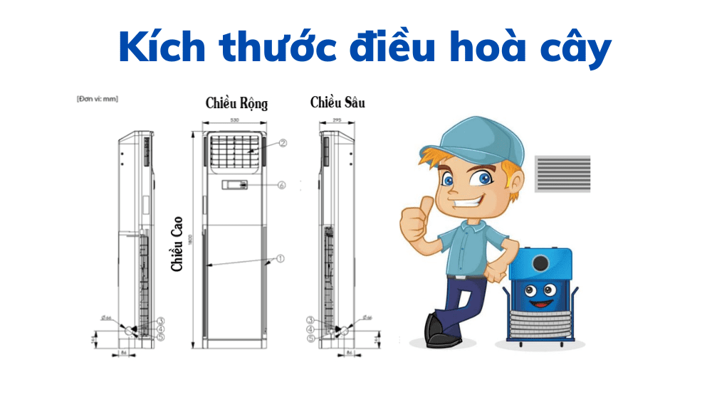 Kích thước điều hoà cây: Dàn nóng - dàn lạnh, khối lượng